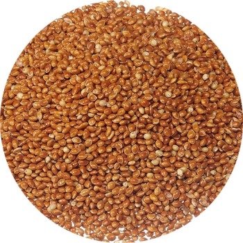 Products – Green Canyon